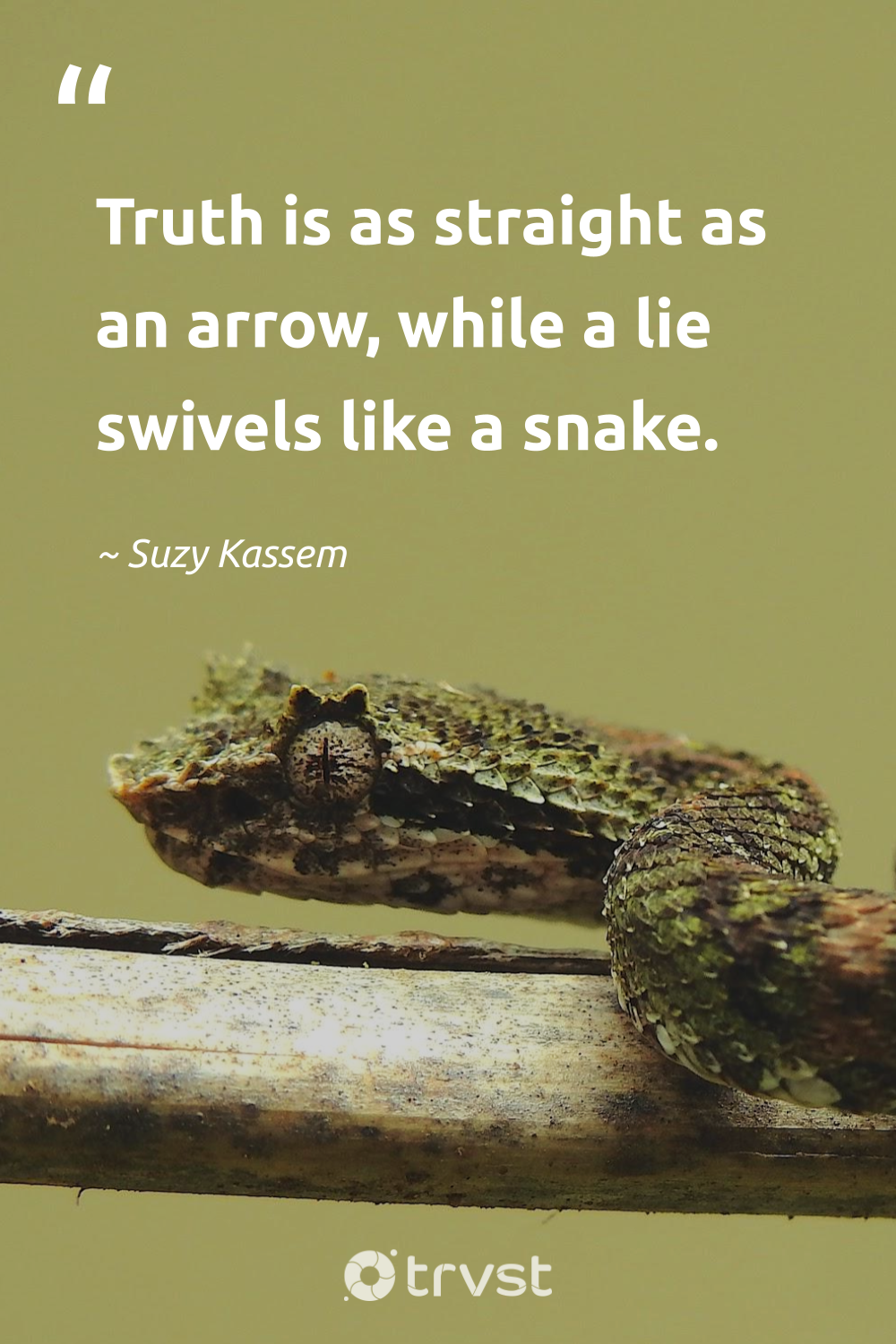 49 Snake Quotes Exploring The World of These Limbless Reptiles (2024)