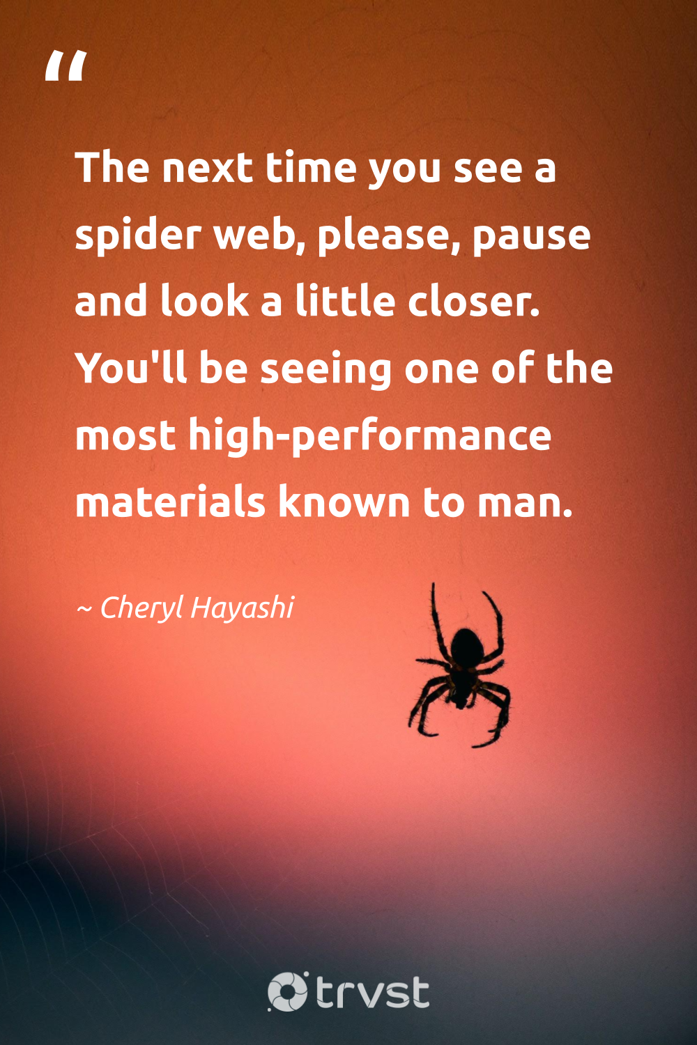 40 Spider Quotes Appreciating These 8-Legged Creatures (2025)