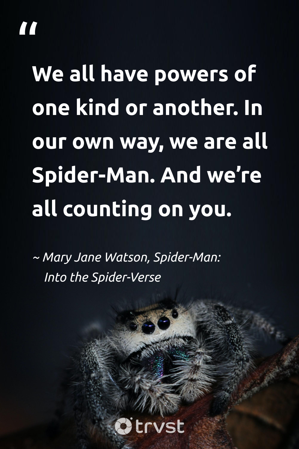 40 Spider Quotes Appreciating These 8-Legged Creatures (2024)