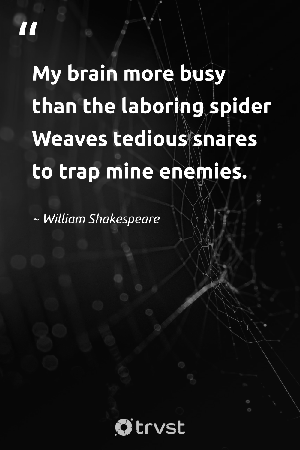 40 Spider Quotes Appreciating These 8-Legged Creatures (2025)