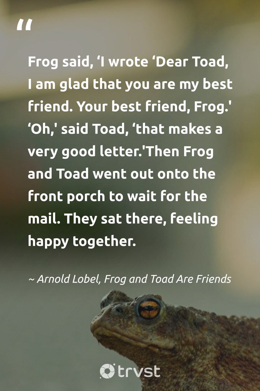 20 Toad Quotes About The Warty Amphibian