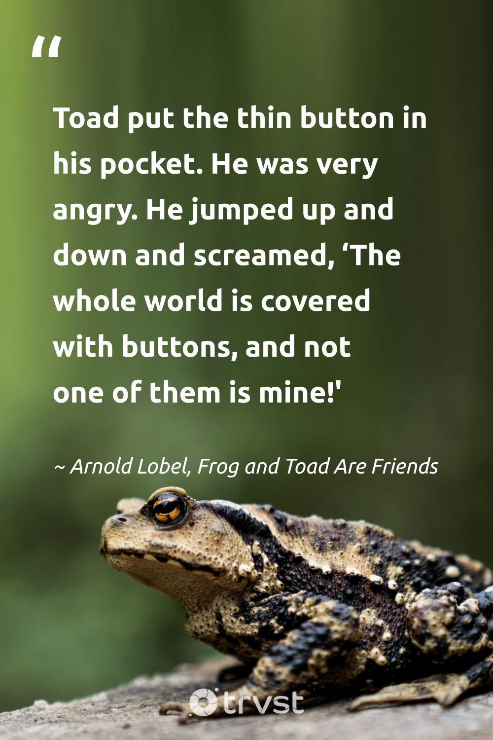 20 Toad Quotes About The Warty Amphibian