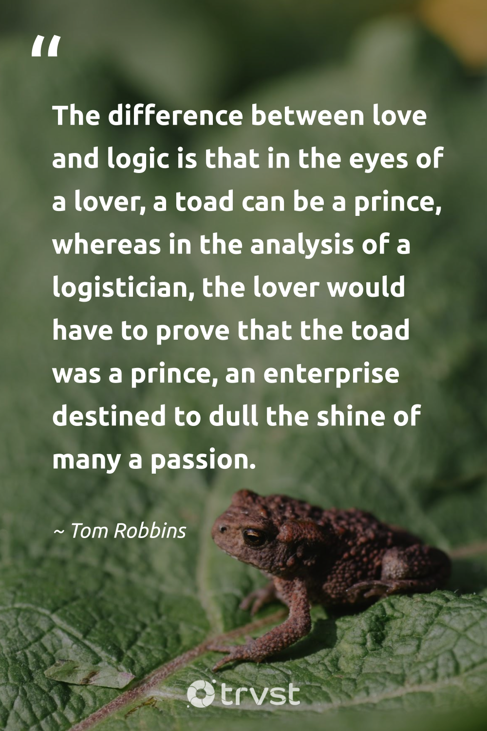 20 Toad Quotes About The Warty Amphibian