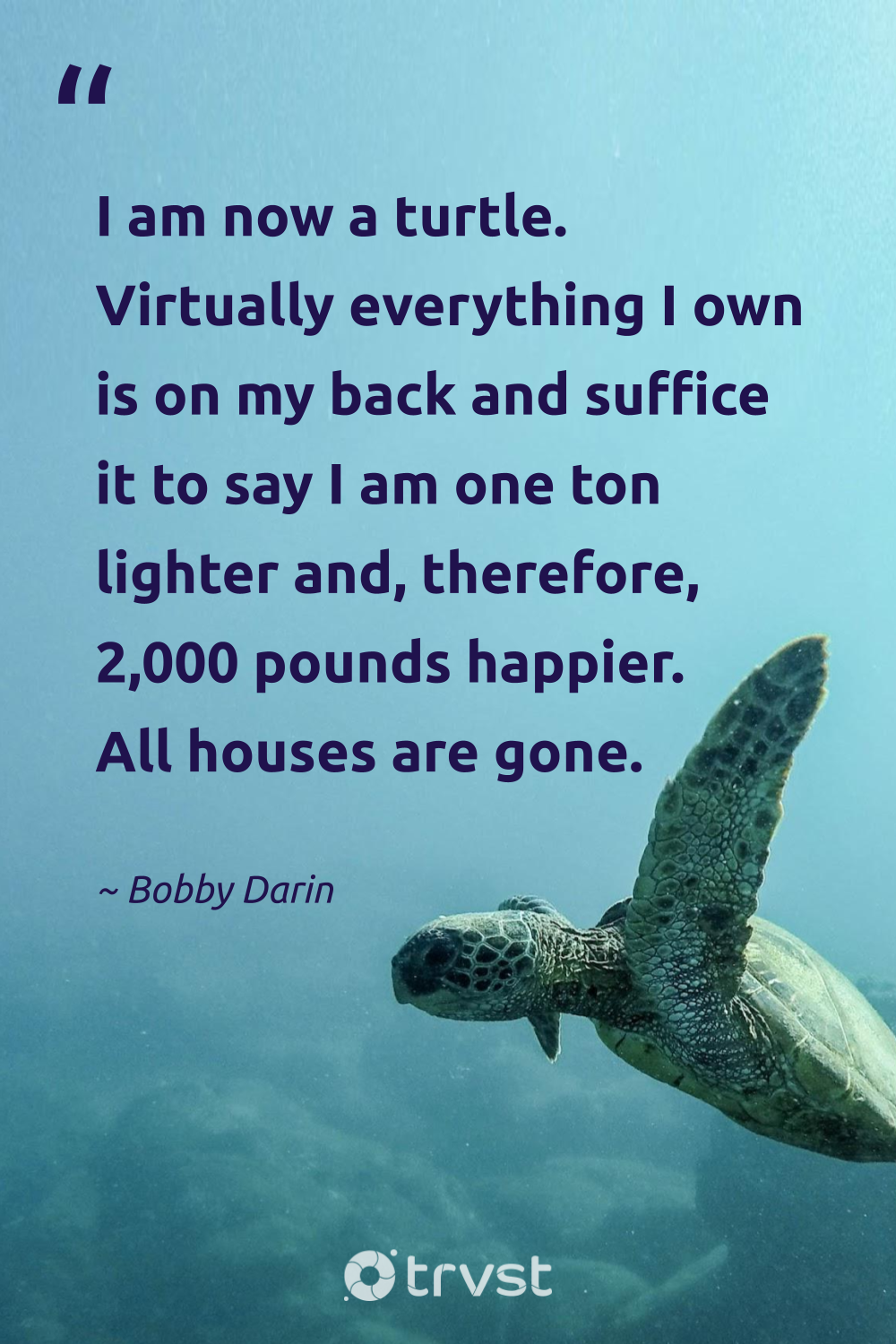 42 Turtle Quotes Teaching Patience, Self-worth, And More (2025)
