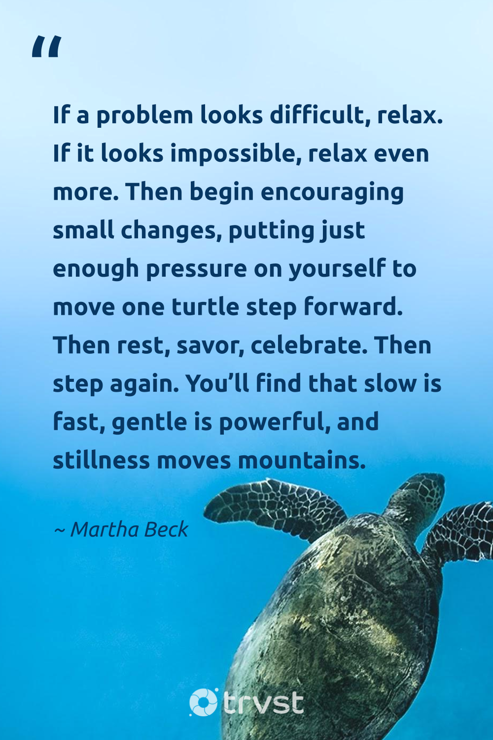 42 Turtle Quotes Teaching Patience, Self-worth, And More (2025)