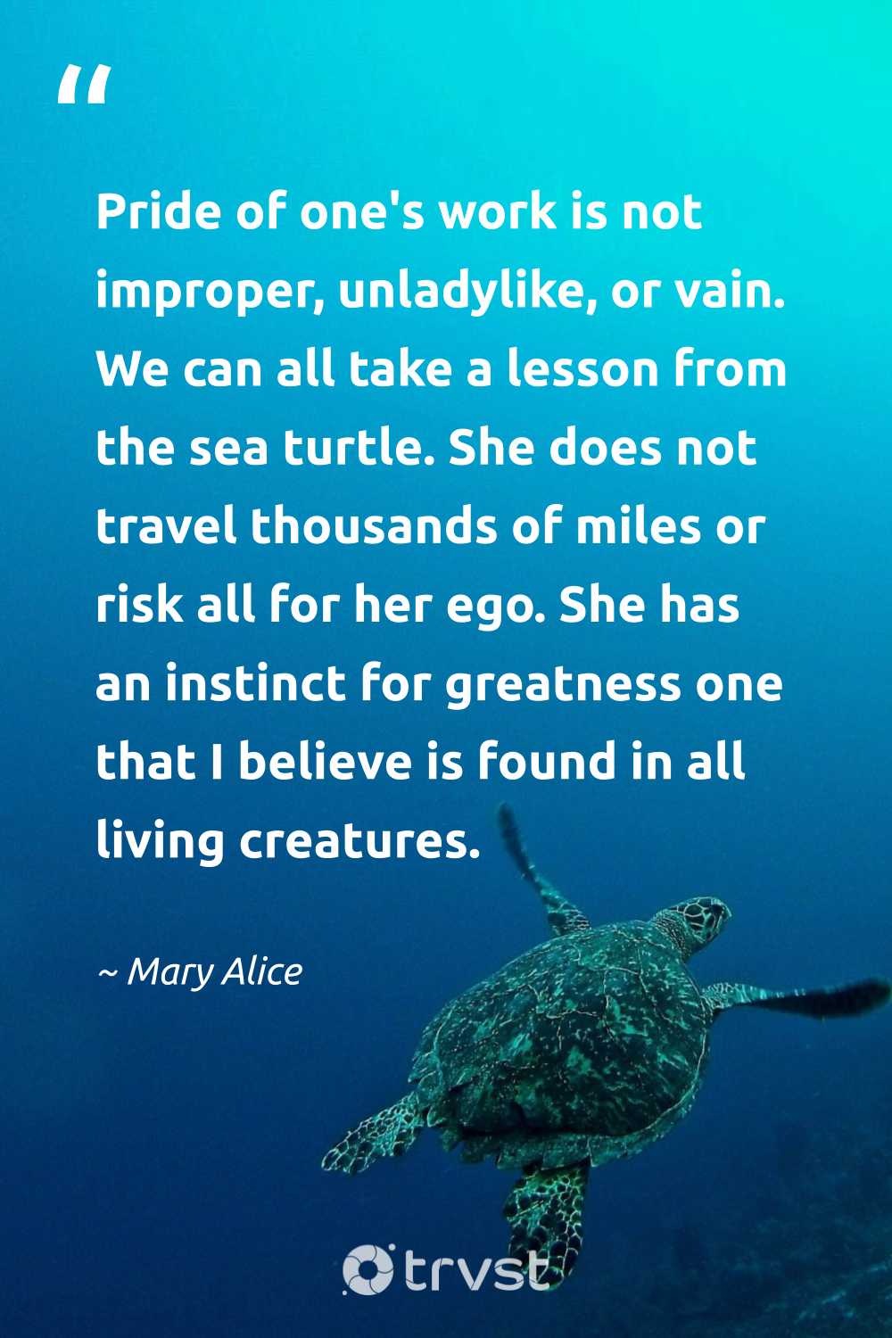 42 Turtle Quotes Teaching Patience, Self-worth, And More (2025)