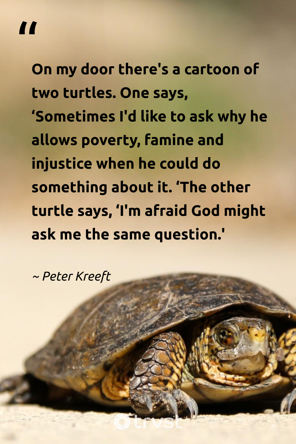 42 Turtle Quotes Teaching Patience, Self-worth, And More (2024)