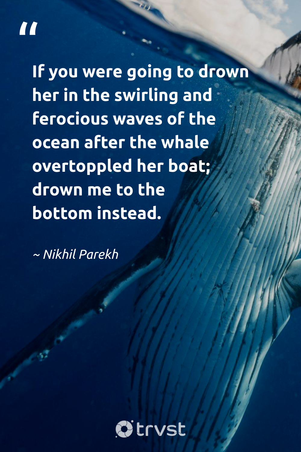 36 Whale Quotes To Help You Be Calm And Hopeful (2024)
