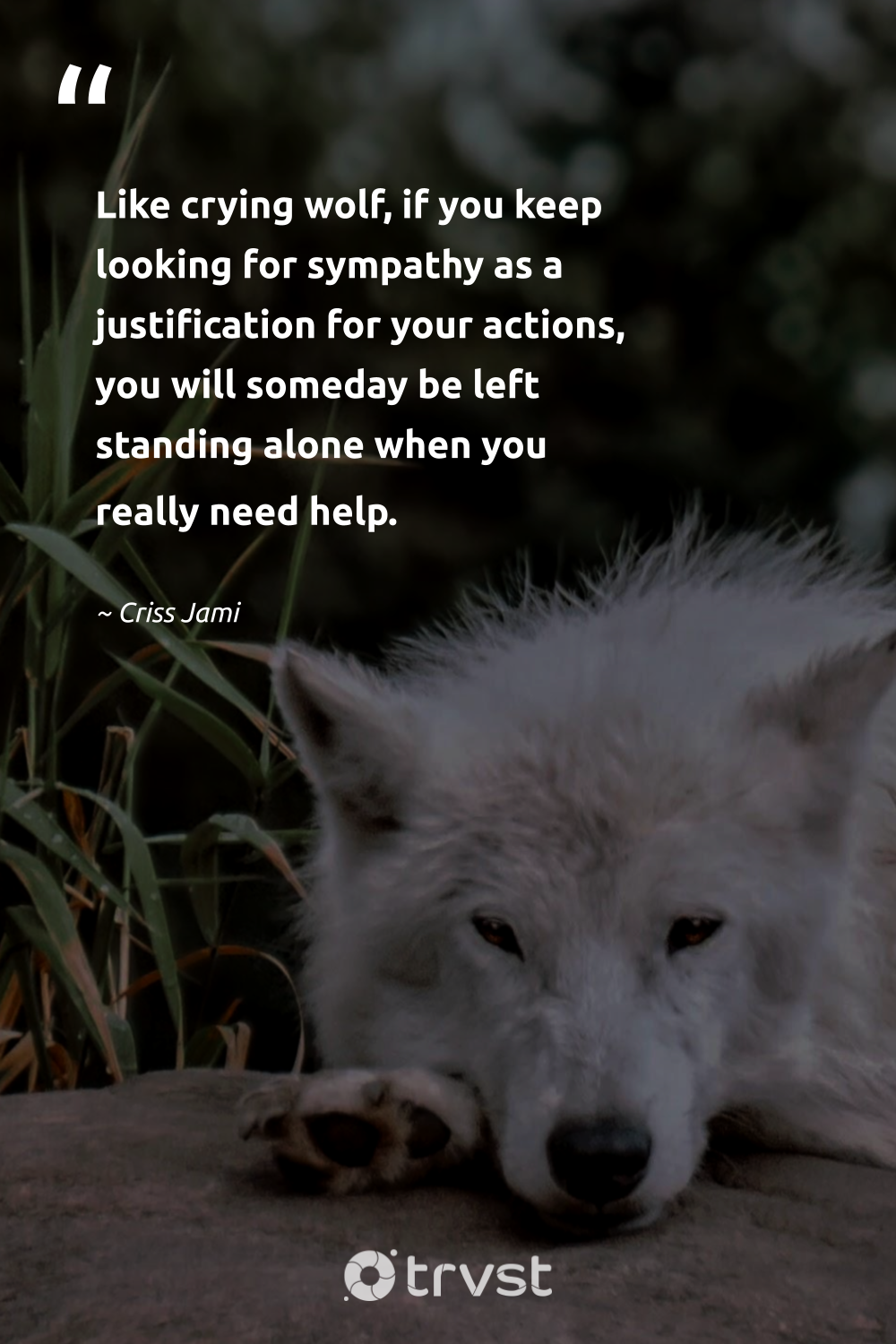 59 Wolf Quotes, Proverbs, and Sayings (2025)