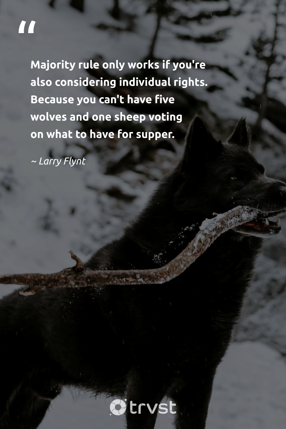 59 Wolf Quotes, Proverbs, and Sayings (2025)