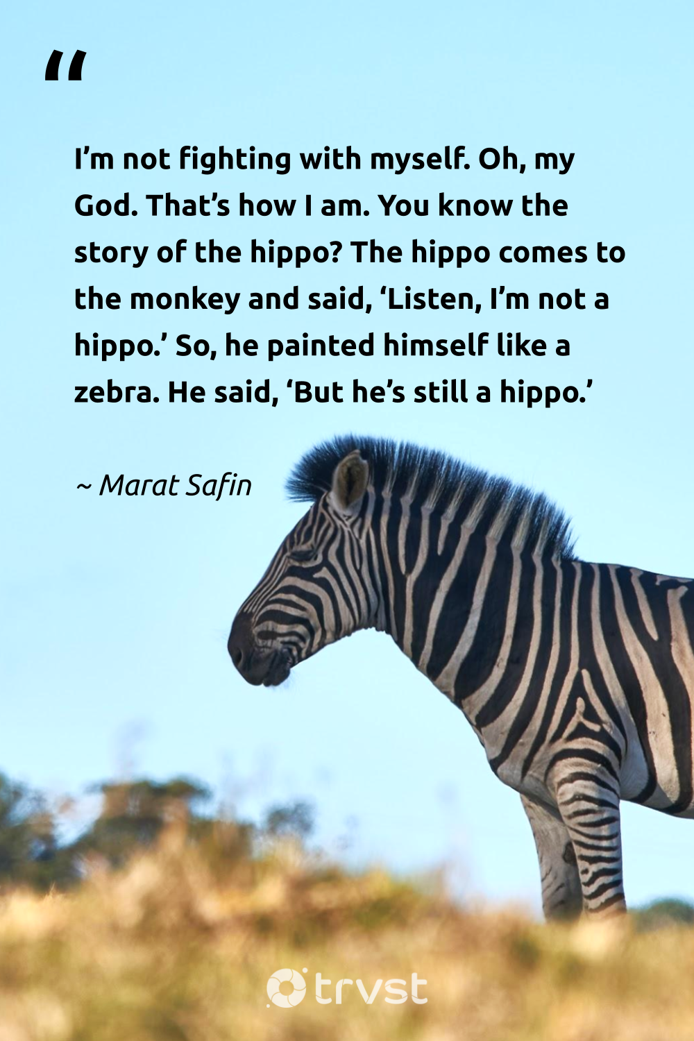 30 Zebra Quotes And Sayings To Inspire Uniqueness (2024)