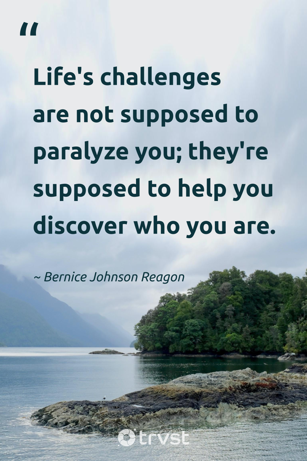 48 Powerful Social Work Quotes to Inspire Your Mission (2025)