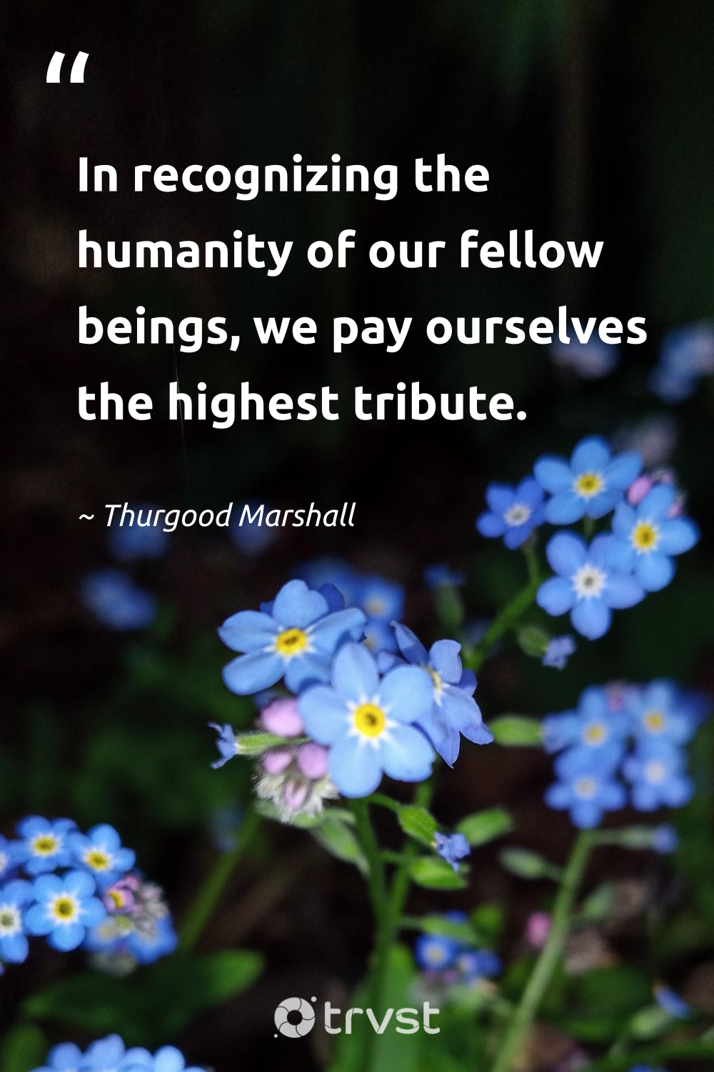 48 Powerful Social Work Quotes to Inspire Your Mission (2025)