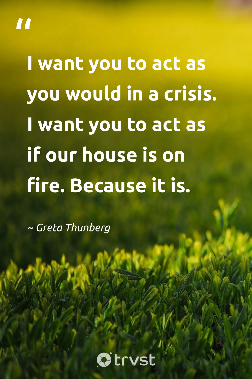 40 Climate Change Quotes Echoing Urgency To Save The Planet