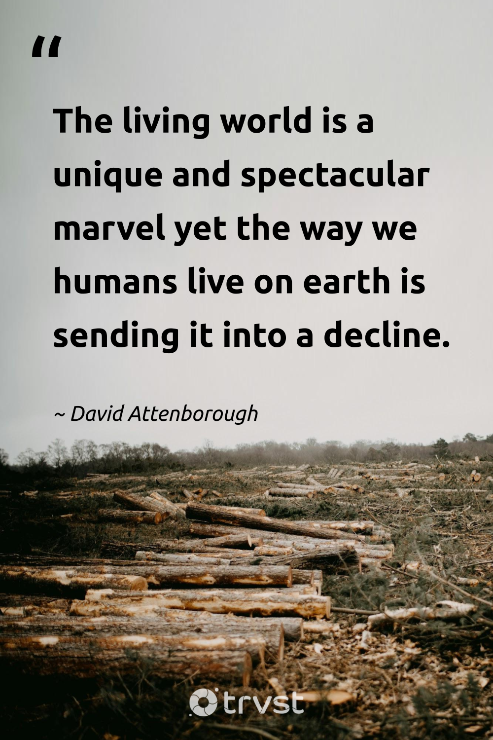 40 David Attenborough Quotes Showing His Dedication To Earth