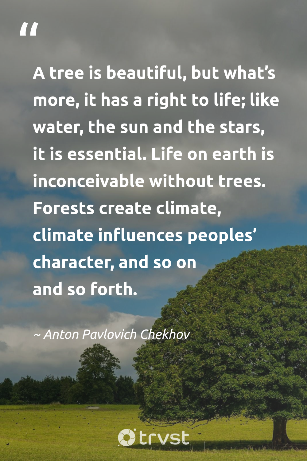 30 Deforestation Quotes To Read To Value Every Tree