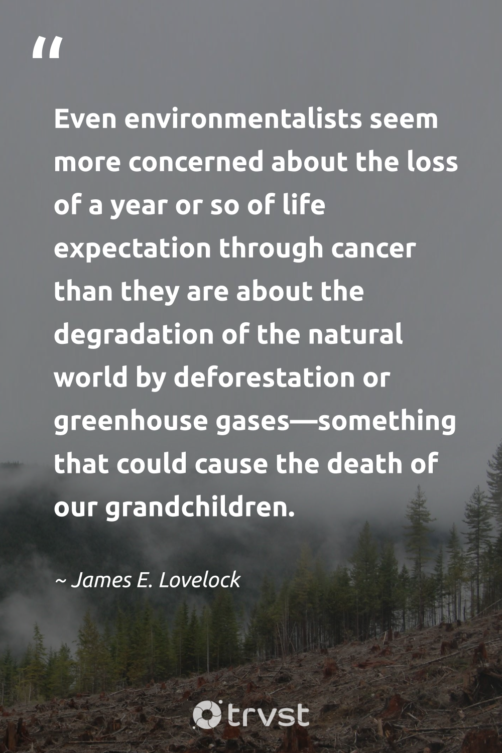 30 Deforestation Quotes To Read To Value Every Tree