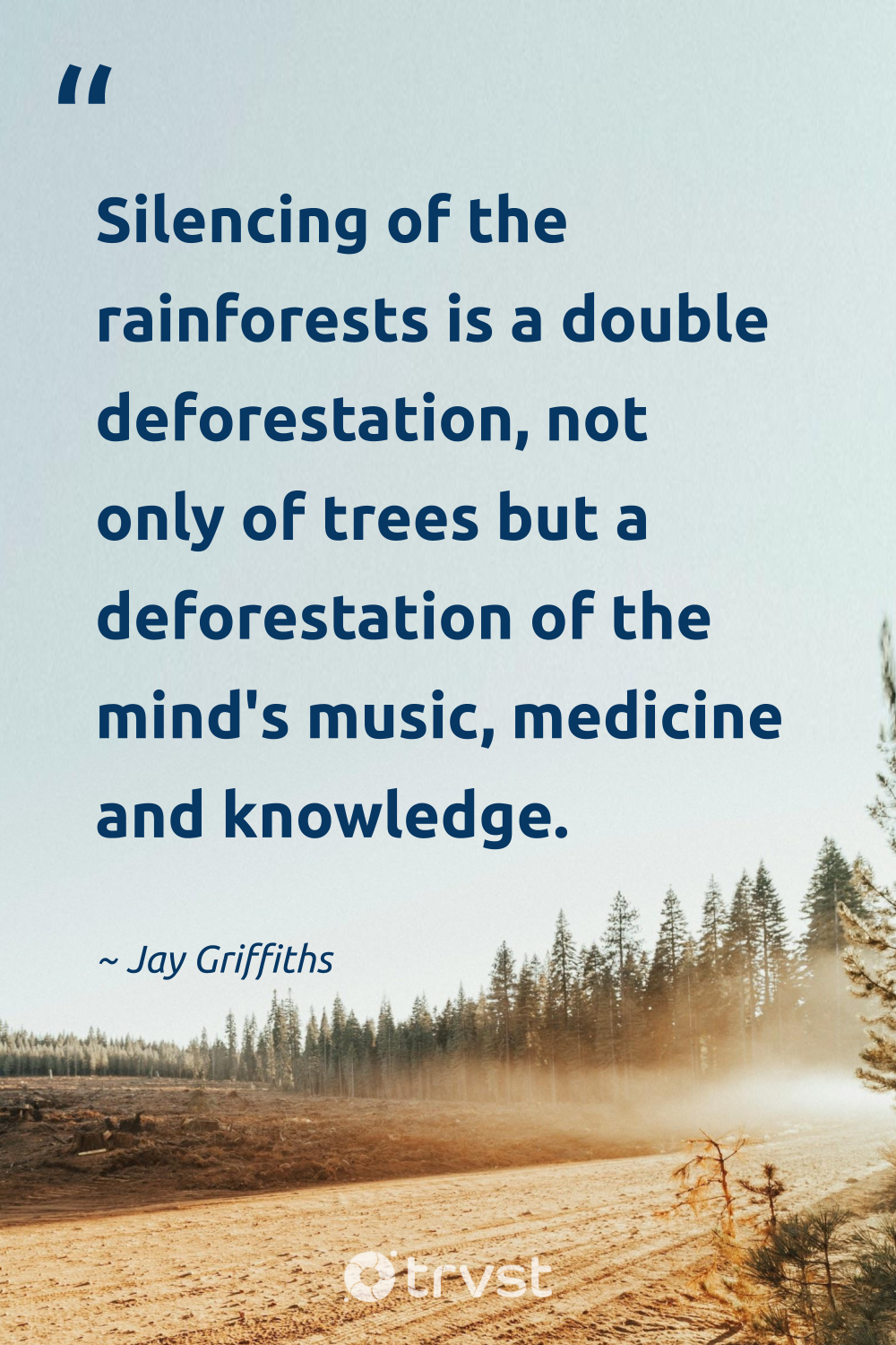 30 Deforestation Quotes To Read To Value Every Tree