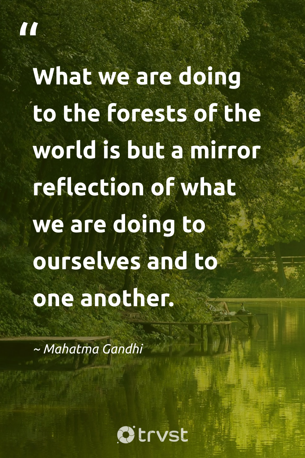 30 Deforestation Quotes To Read To Value Every Tree