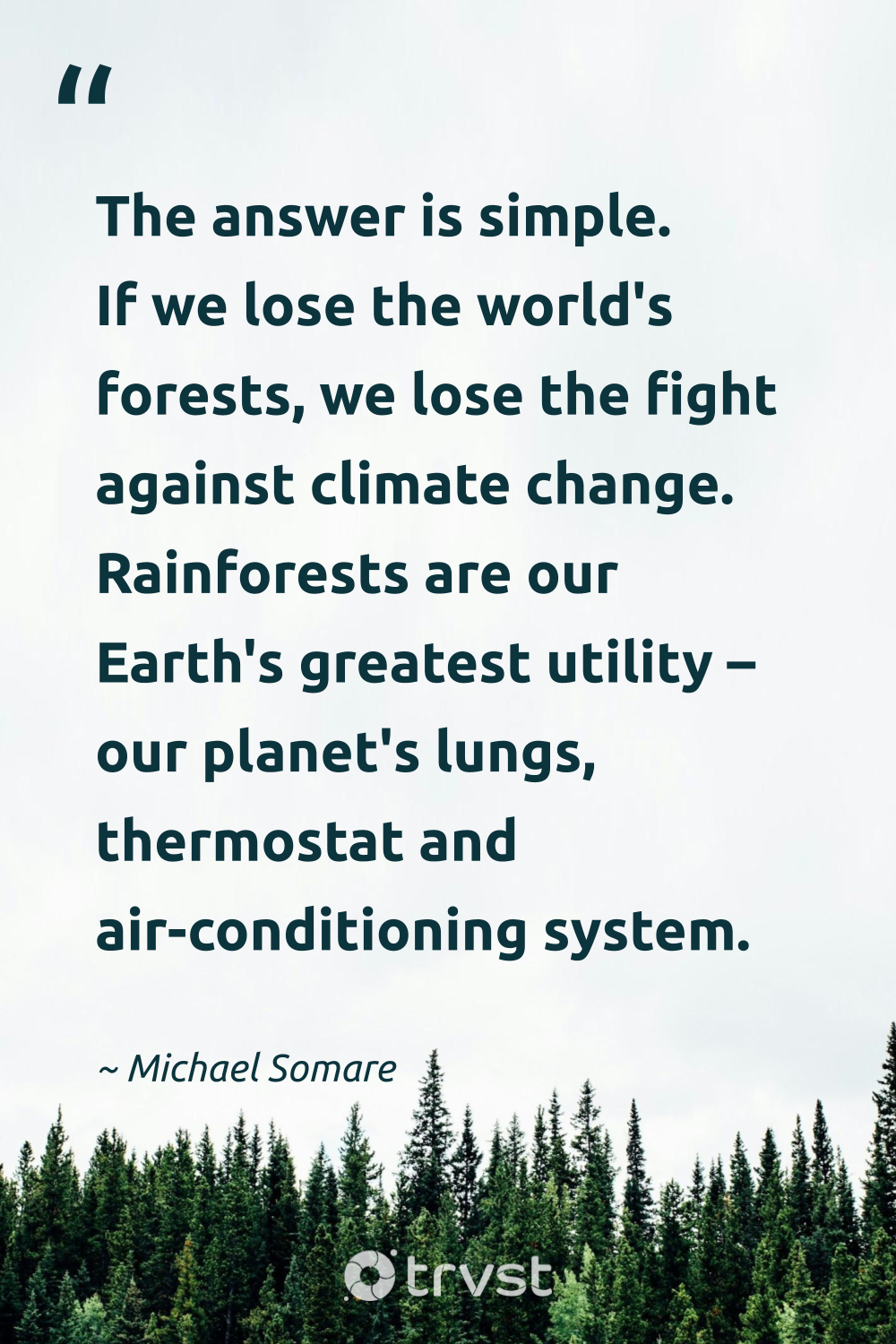 30 Deforestation Quotes To Read To Value Every Tree