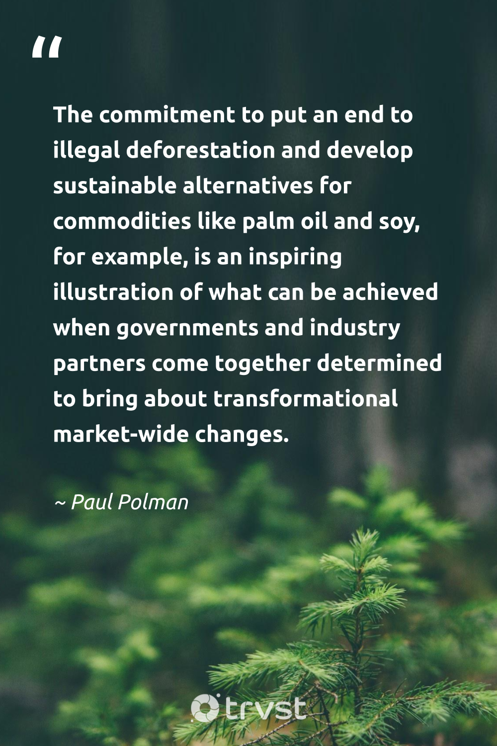 30 Deforestation Quotes To Read To Value Every Tree