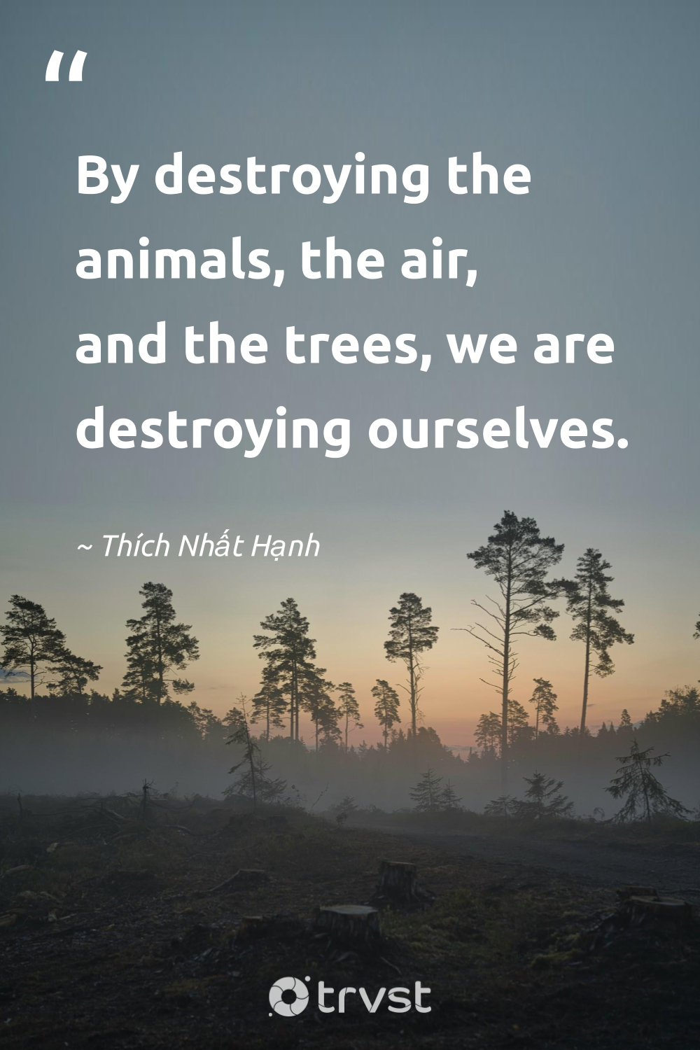 30 Deforestation Quotes To Read To Value Every Tree