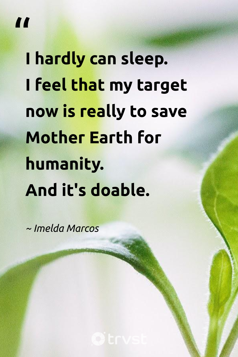 52 Earth Quotes To Promote Ecological Awareness