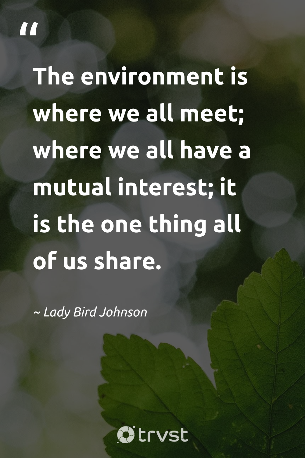 52 Earth Quotes To Promote Ecological Awareness