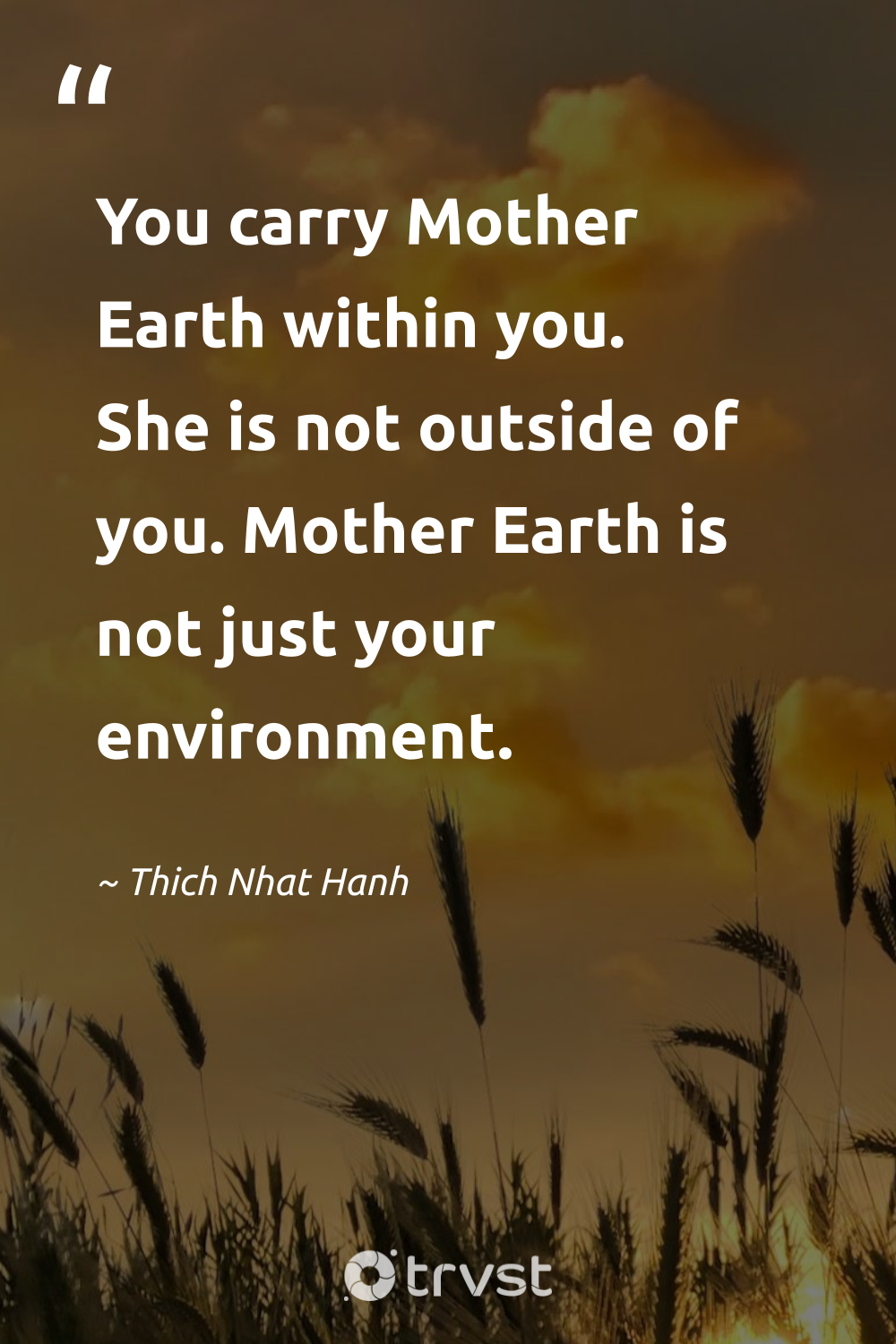52 Earth Quotes To Promote Ecological Awareness