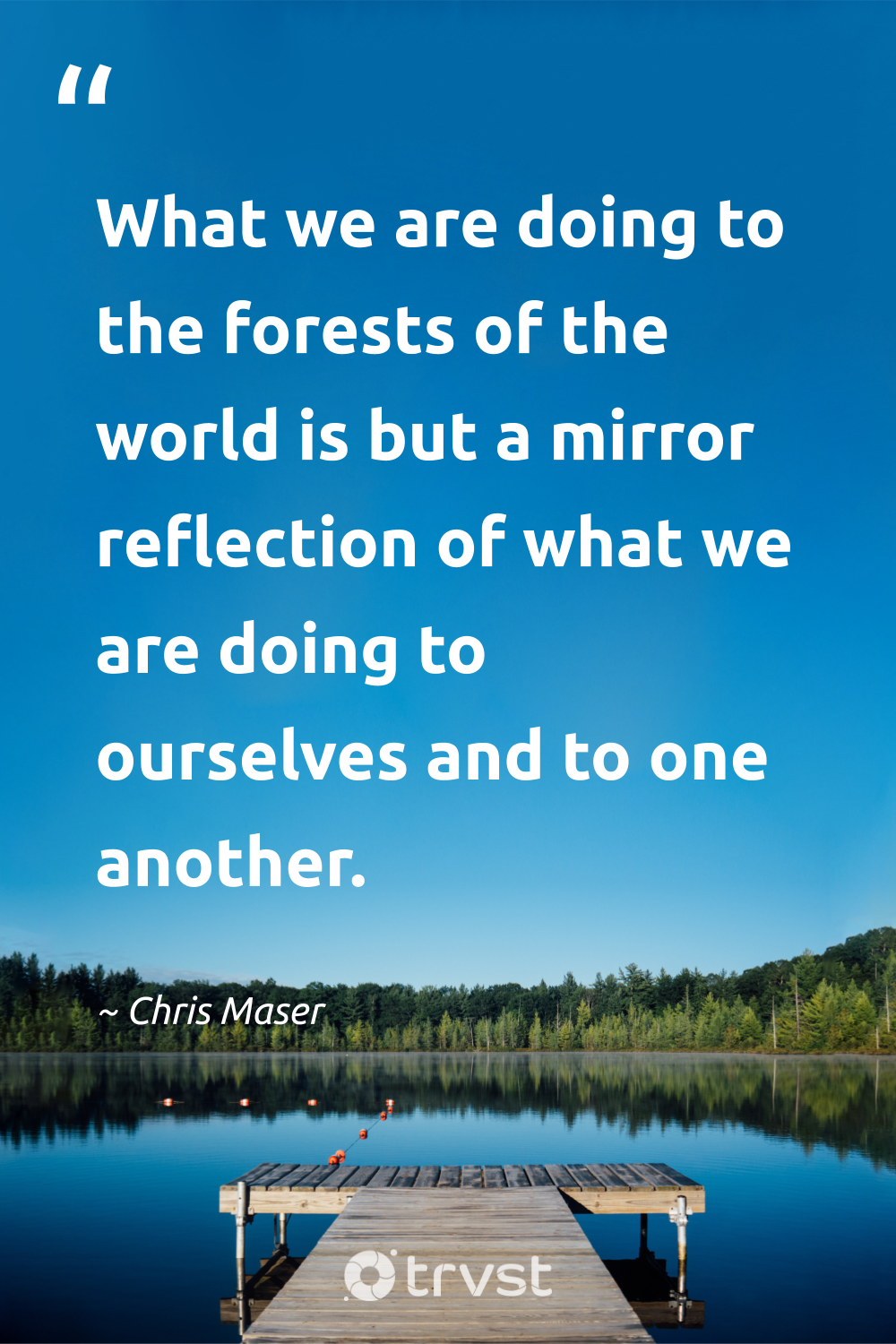50 Environment Quotes to Inspire Environmental Conservation