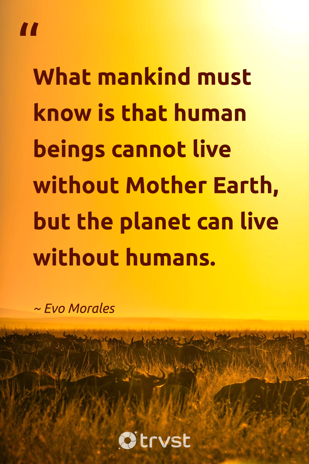 50 Environment Quotes to Inspire Environmental Conservation