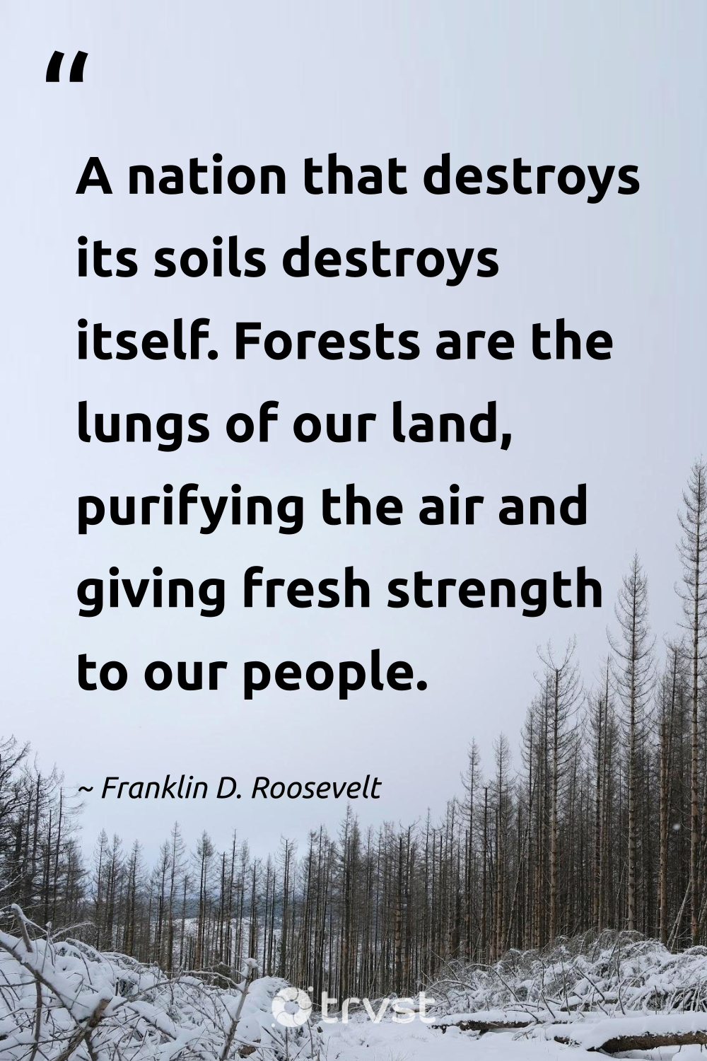 50 Environment Quotes to Inspire Environmental Conservation