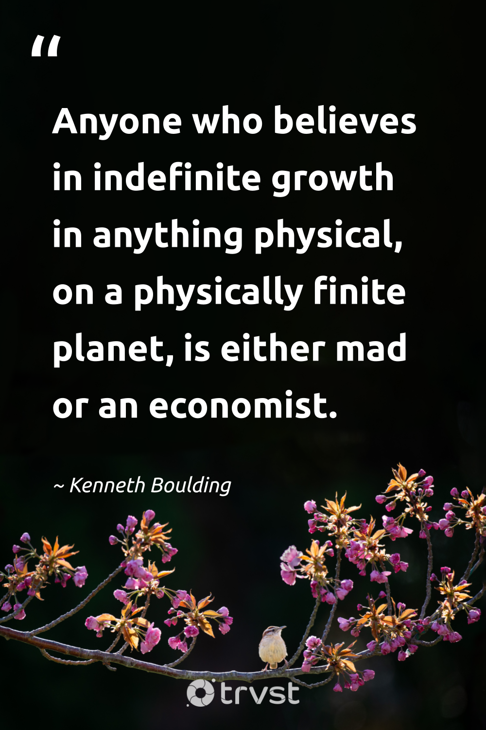 50 Environment Quotes to Inspire Environmental Conservation