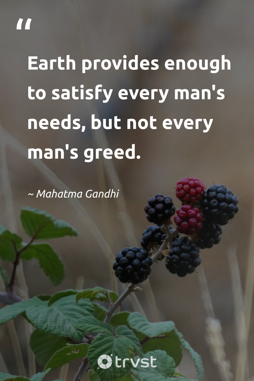 50 Environment Quotes to Inspire Environmental Conservation