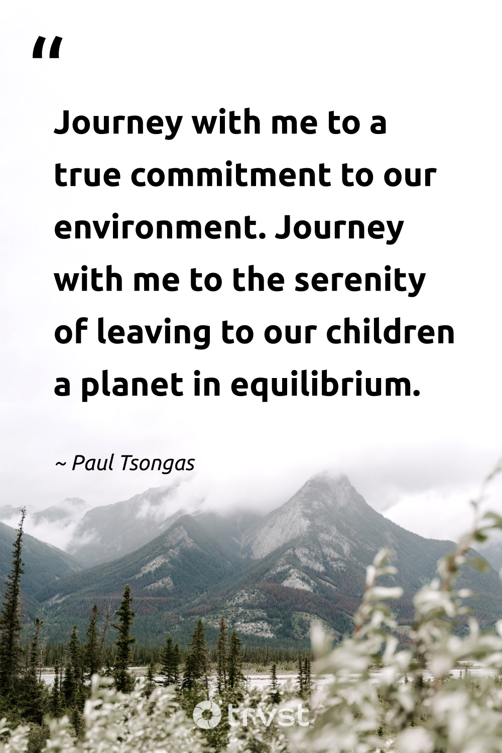50 Environment Quotes to Inspire Environmental Conservation