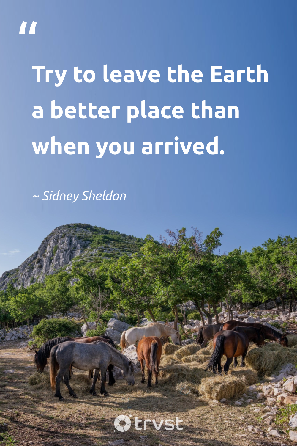 50 Environment Quotes to Inspire Environmental Conservation