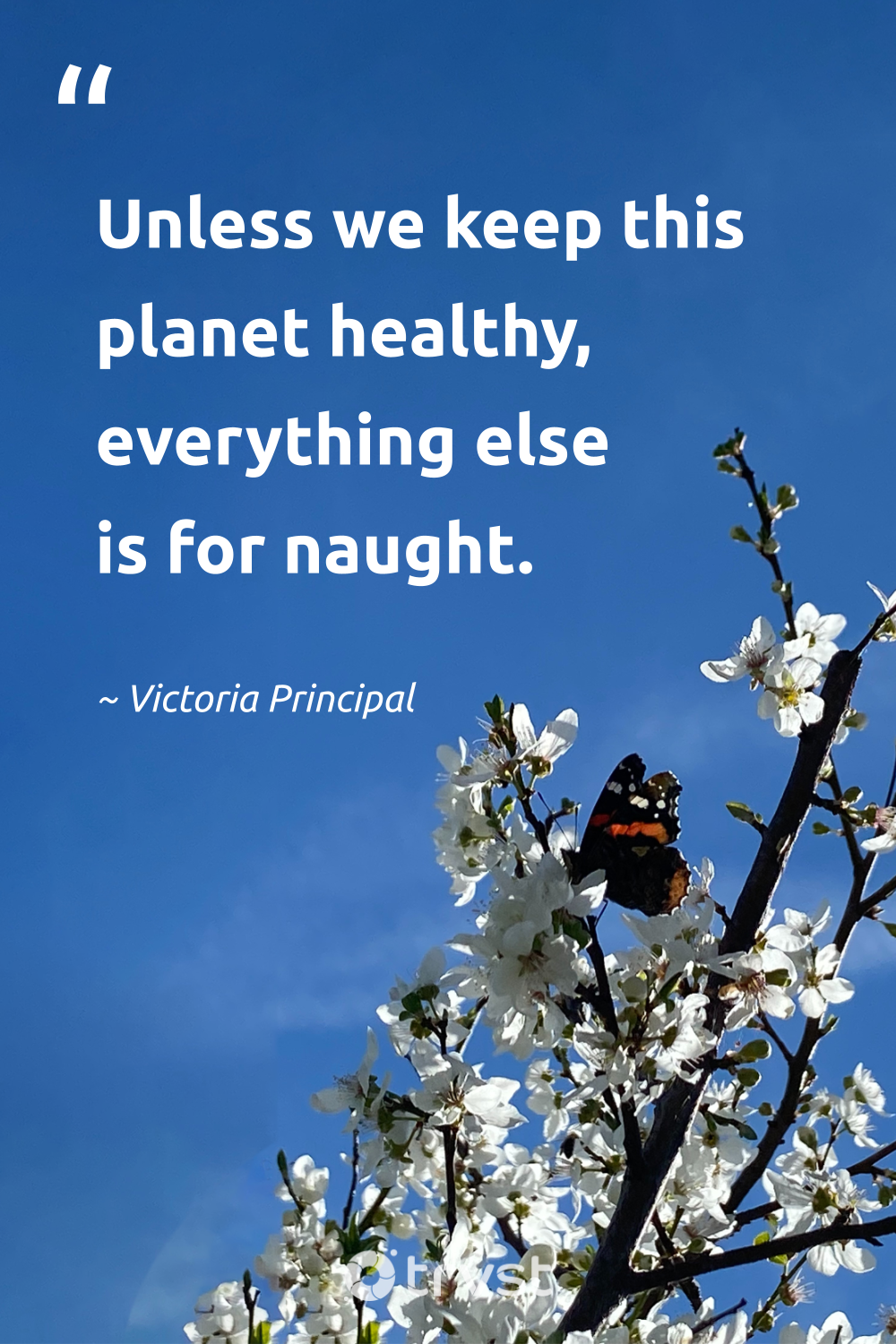 50 Environment Quotes to Inspire Environmental Conservation