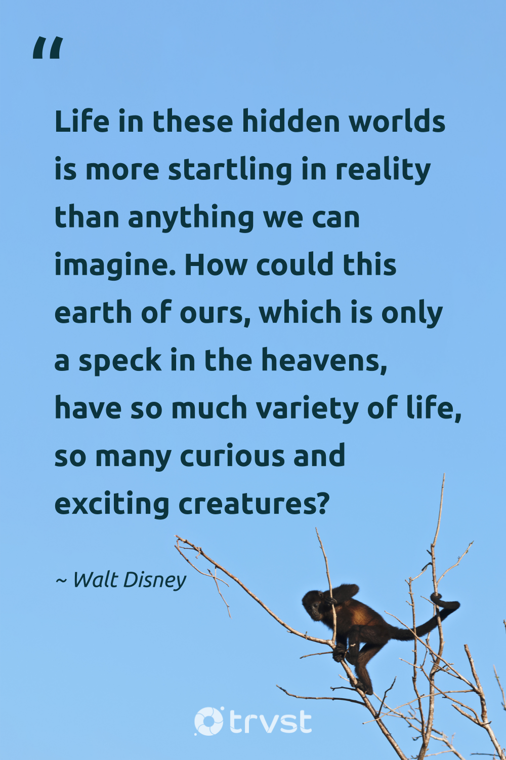 50 Environment Quotes to Inspire Environmental Conservation