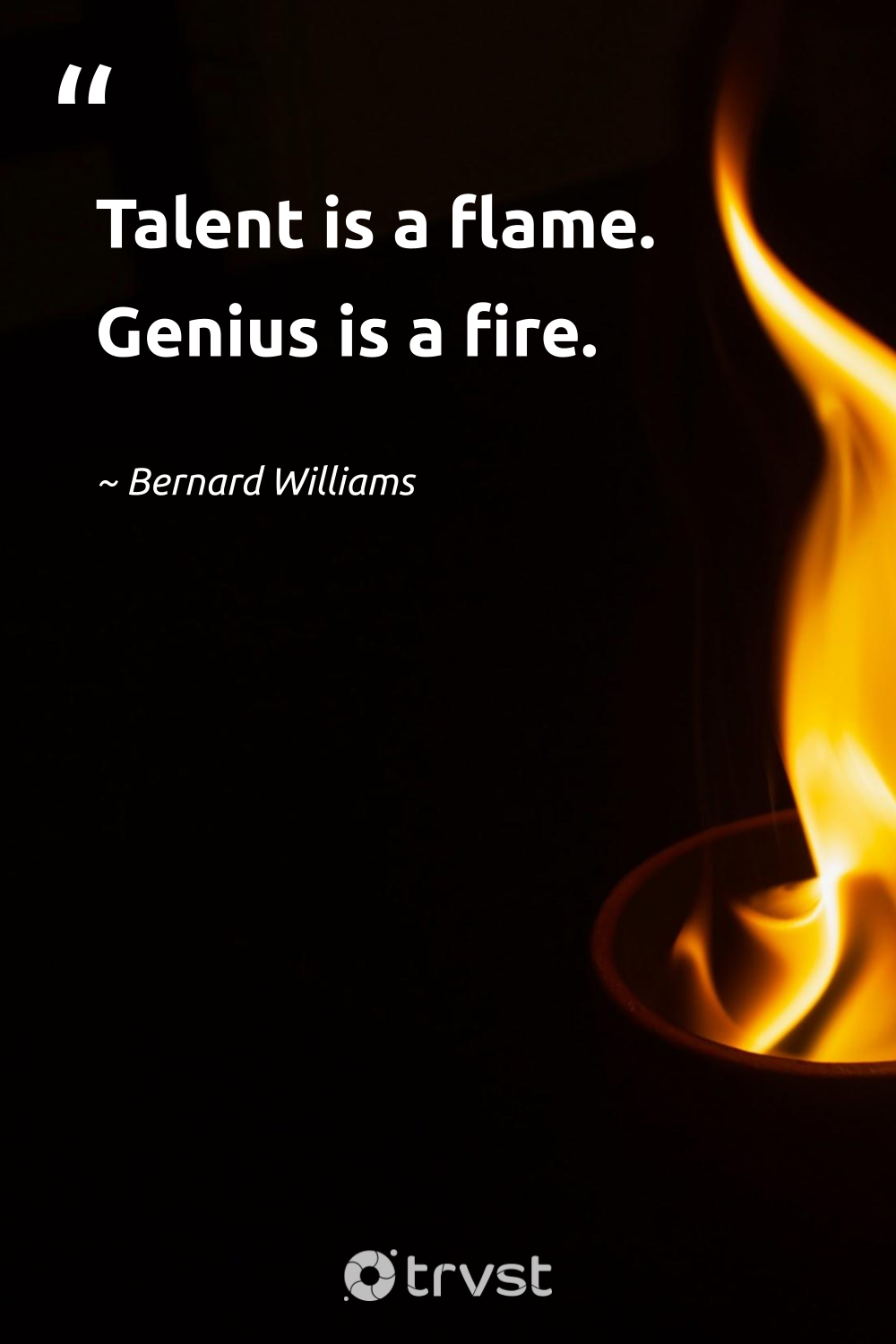 94 Fire Quotes To Ignite Passion and Ecological Protection (2024)