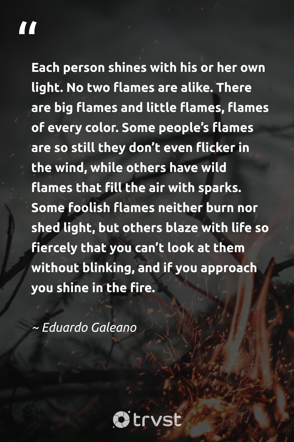 94 Fire Quotes To Ignite Passion and Ecological Protection (2025)