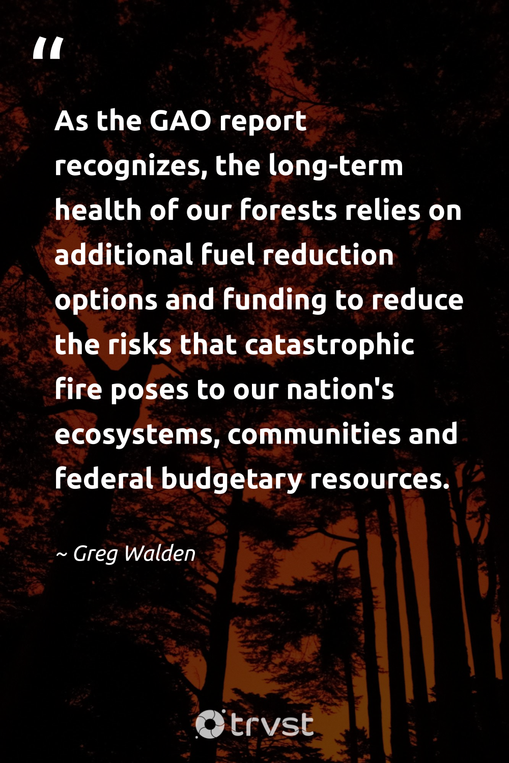 94 Fire Quotes To Ignite Passion and Ecological Protection (2025)