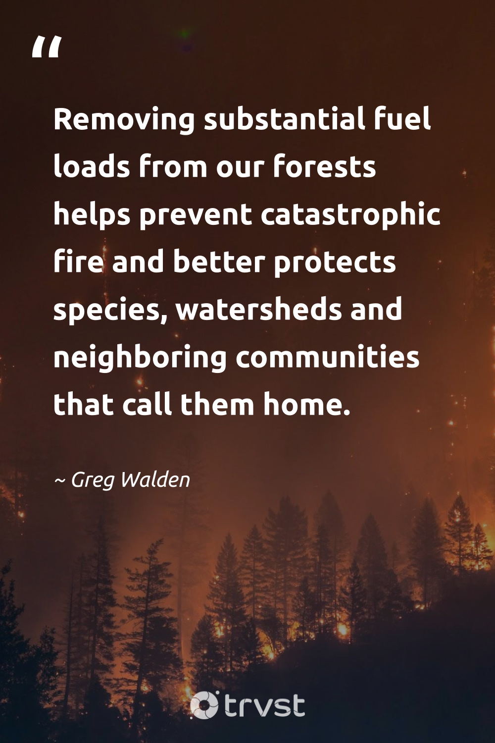 94 Fire Quotes To Ignite Passion and Ecological Protection (2025)