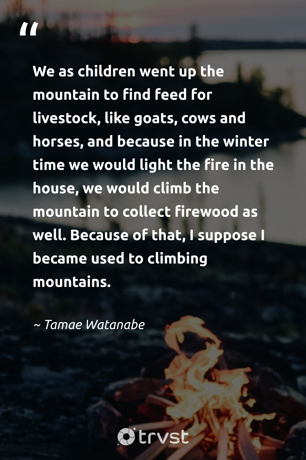 94 Fire Quotes To Ignite Passion and Ecological Protection (2024)