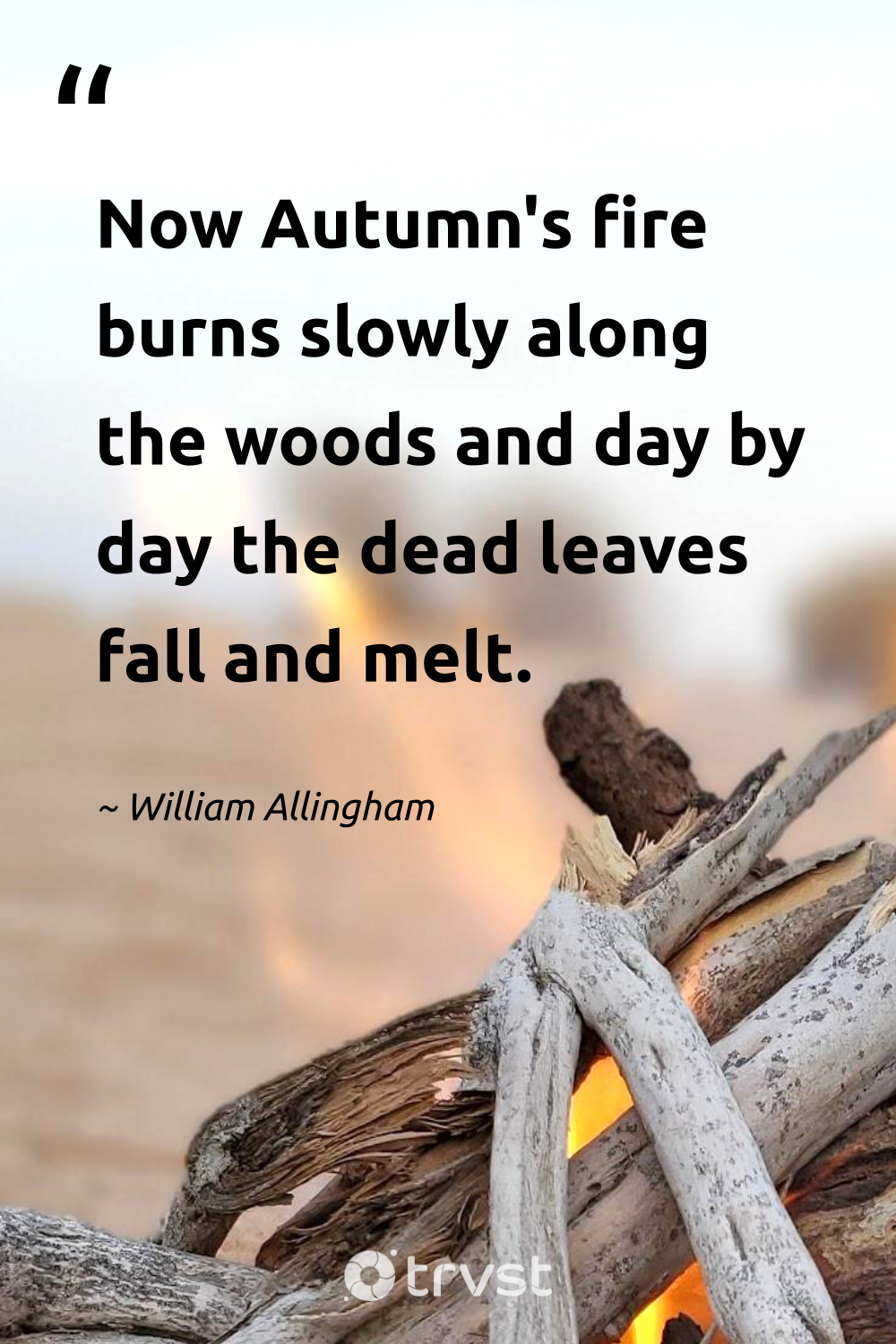 94 Fire Quotes To Ignite Passion and Ecological Protection (2025)