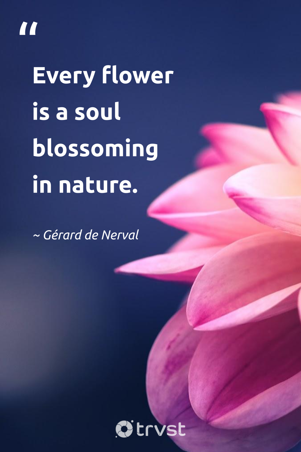 124 Flower Quotes and Sayings From Bud to Blossom (2024)