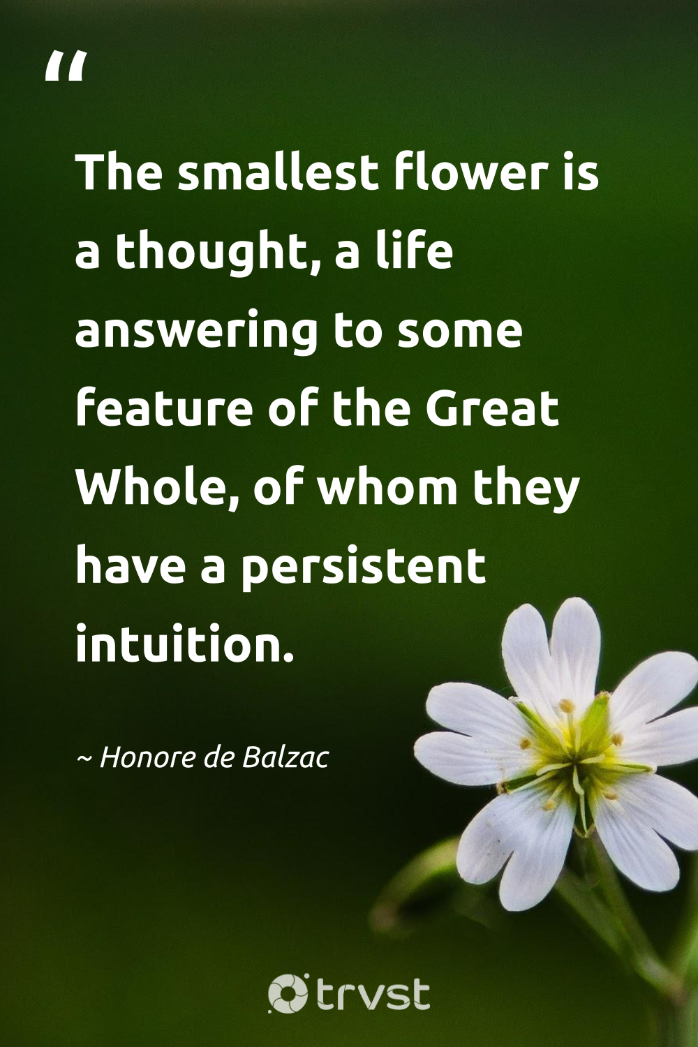 124 Flower Quotes and Sayings From Bud to Blossom (2025)