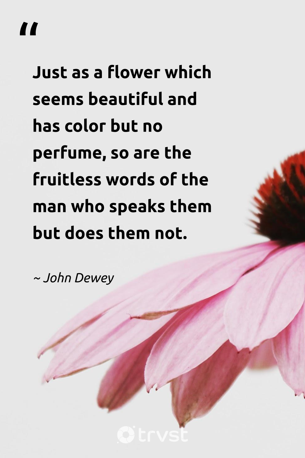 124 Flower Quotes and Sayings From Bud to Blossom (2025)