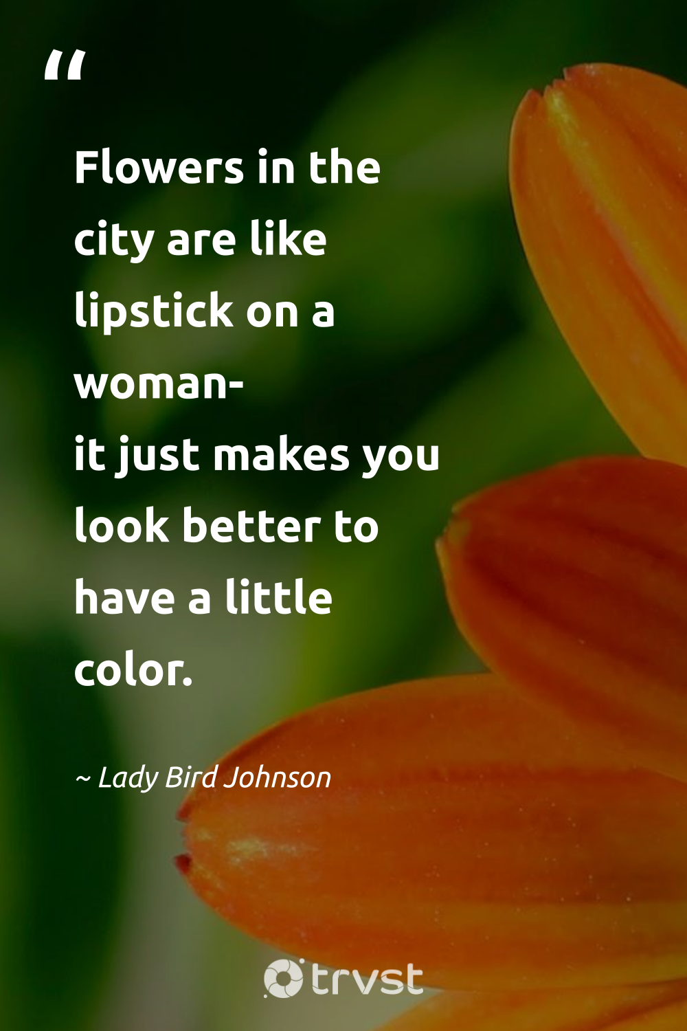 124 Flower Quotes and Sayings From Bud to Blossom (2024)