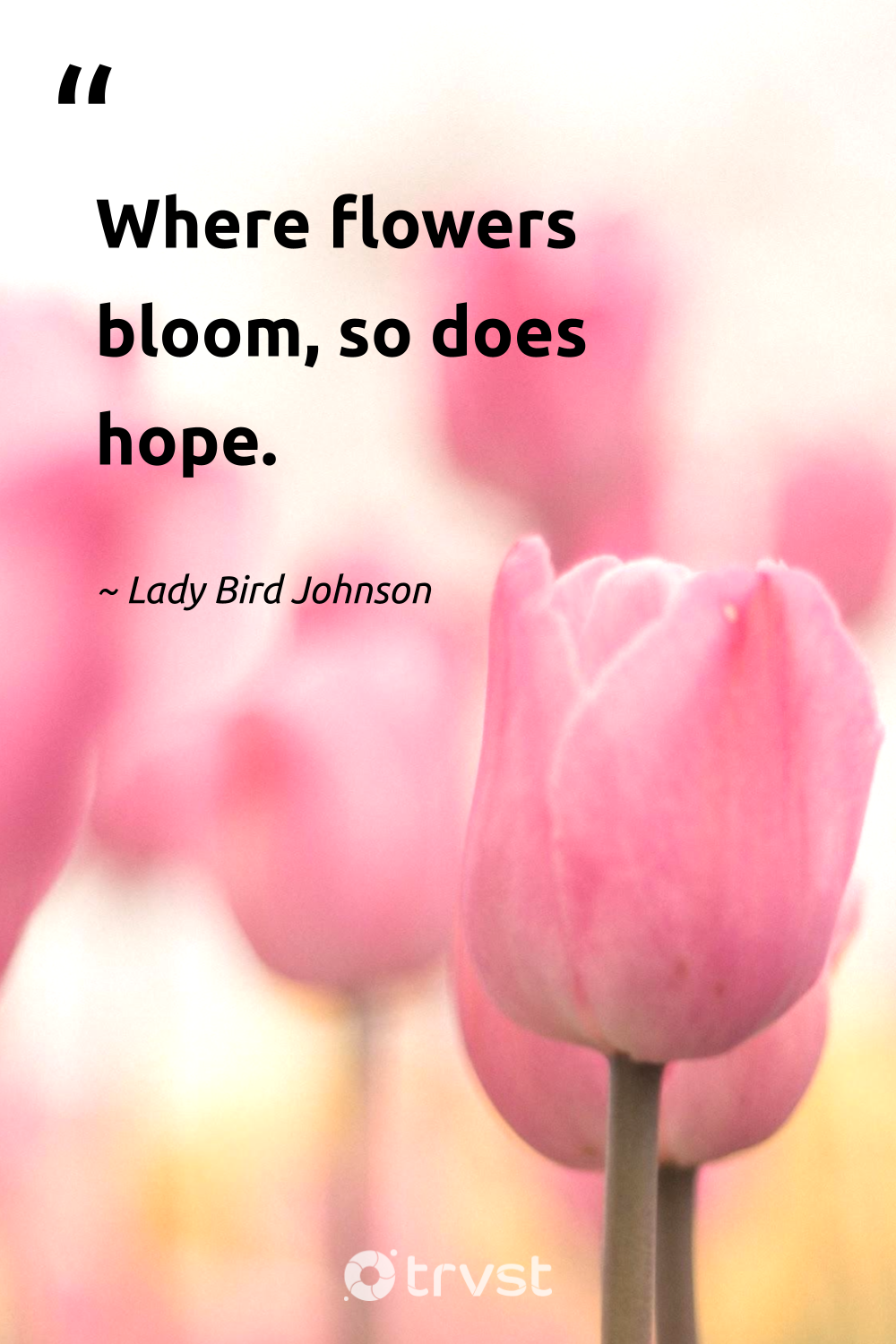 124 Flower Quotes and Sayings From Bud to Blossom (2024)