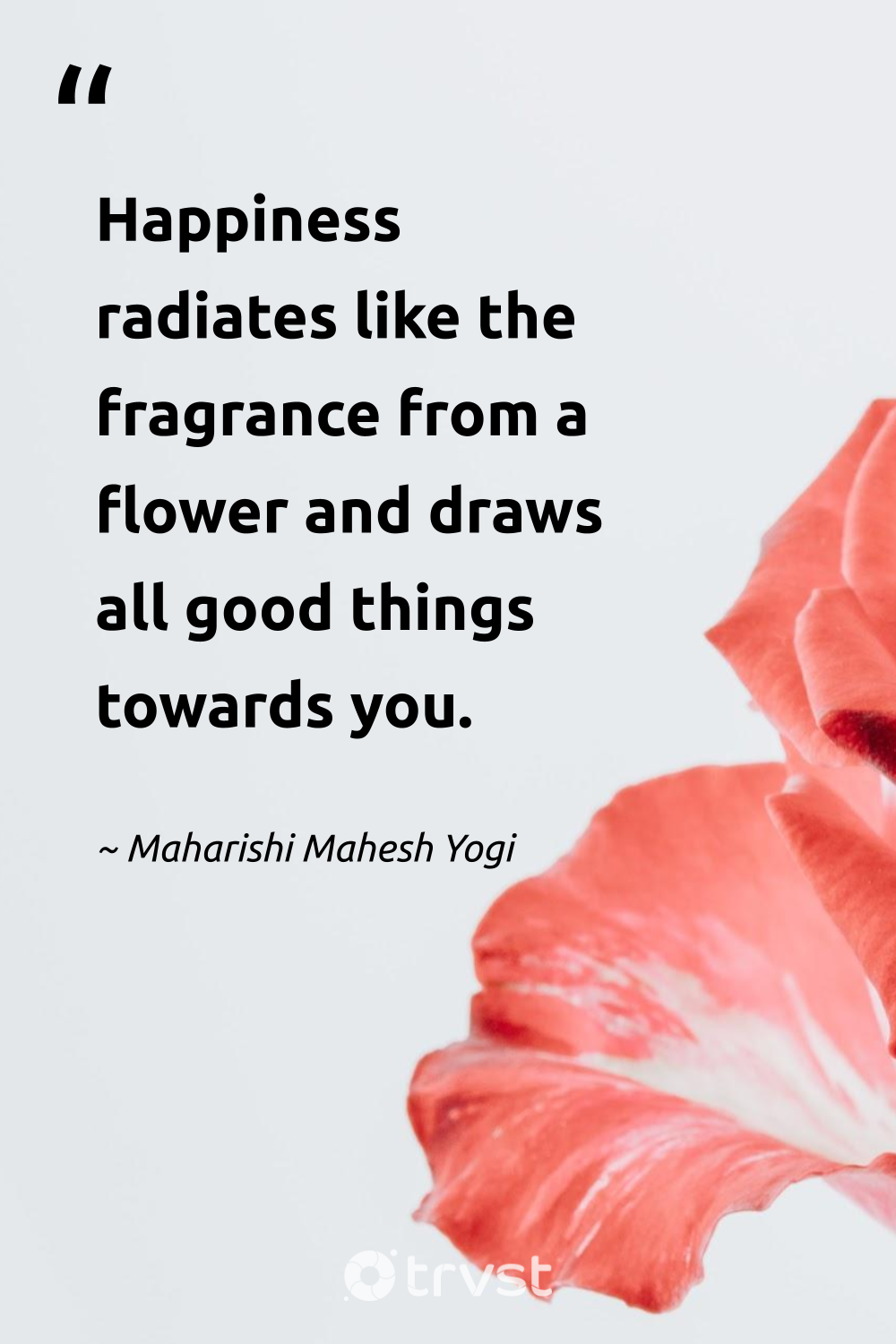 124 Flower Quotes and Sayings From Bud to Blossom (2025)